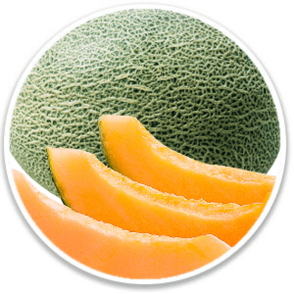 Vita Supplements - Science-Backed Designer Supplements